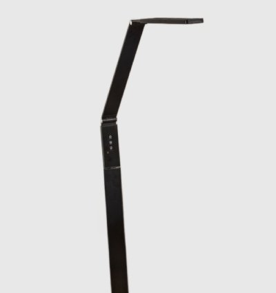 Bright Reach Floor Lamp in Black | Mattingly Low Vision, Inc.